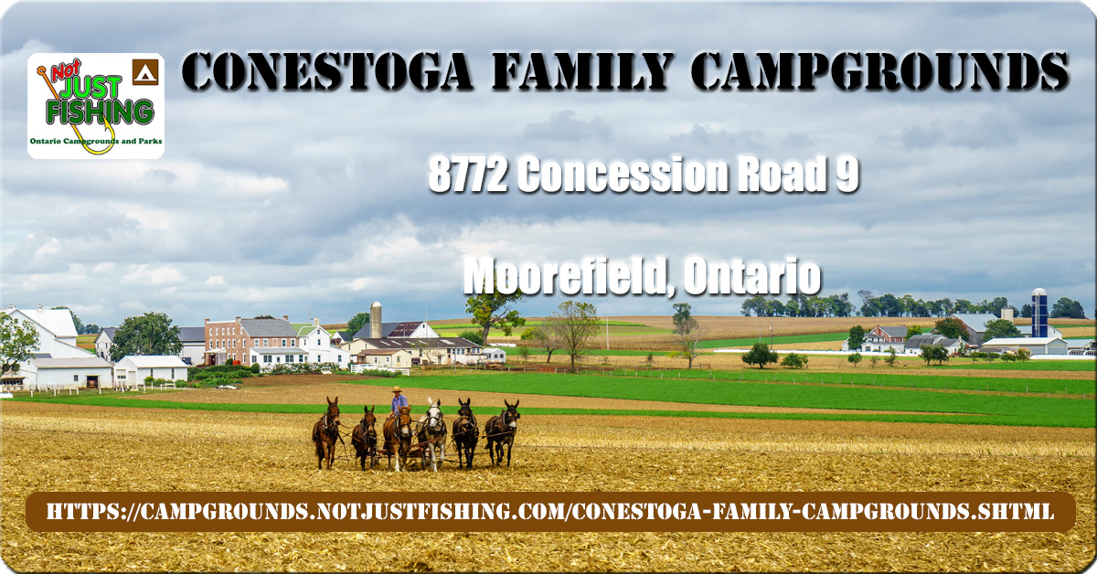 Conestoga Family Campgrounds, Moorefield, Ontario (Wellington County)