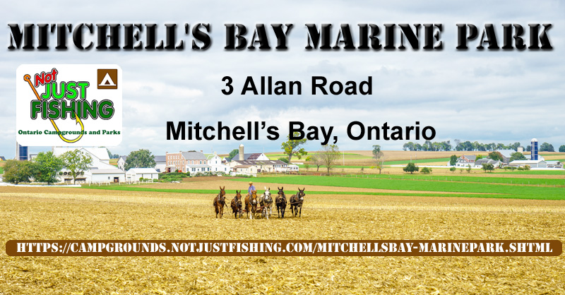 Mitchell's Bay Marine Park, Mitchell's Bay, Ontario (Chatham Kent Region)
