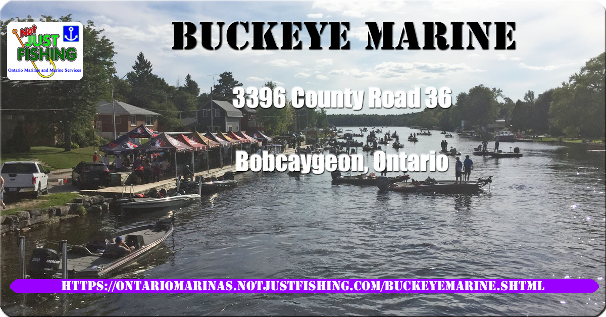 Buckeye Marine, Bobcaygeon, Ontario (Kawartha Lakes Marinas)